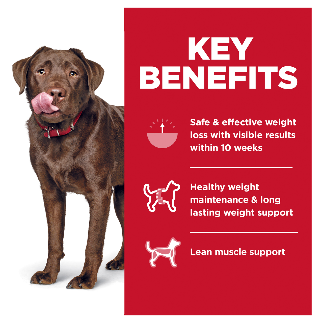Hill s Science Diet Perfect Weight Adult Large Breed Dry Dog Food hill-s-science-diet-perfect-weight-adult-large-breed-dry-dog-food