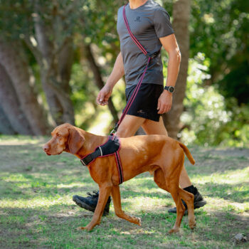 Rogz Dog Airtech Muilti Lead Rock Red