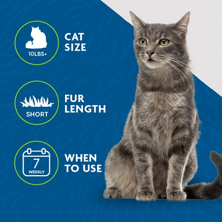 FURminator Short Hair Cat Deshedding Tool Medium