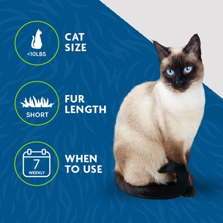 FURminator Short Hair Cat Deshedding Tool Small