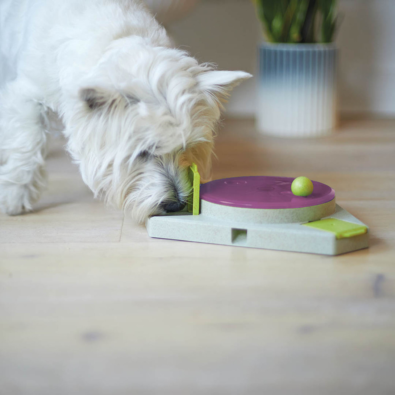 Kazoo Dog Circle Slider Interactive Puzzle Feeder