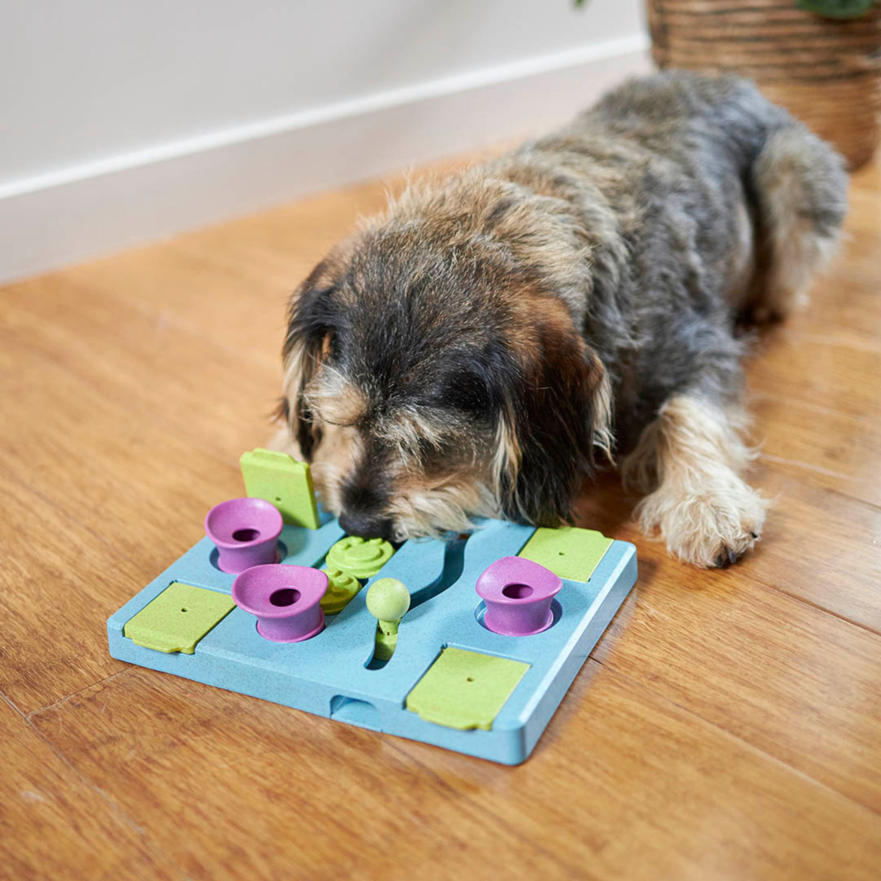 Kazoo Dog Rectangle Rumble Interactive Puzzle Feeder