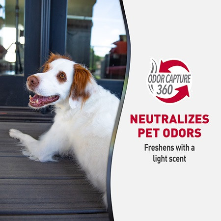 Nature's Miracle Advance Stain & Odor Eliminator Wipes