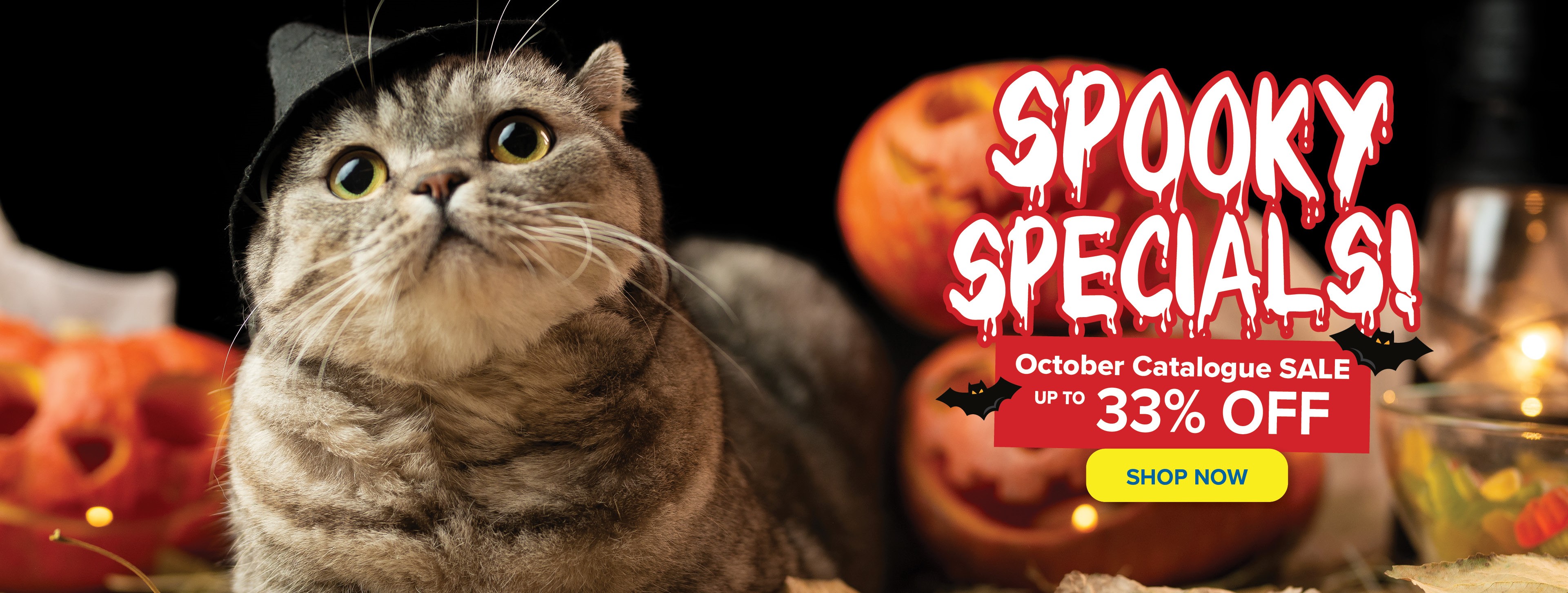 PetO – Australia's Largest Dog & Cat Store