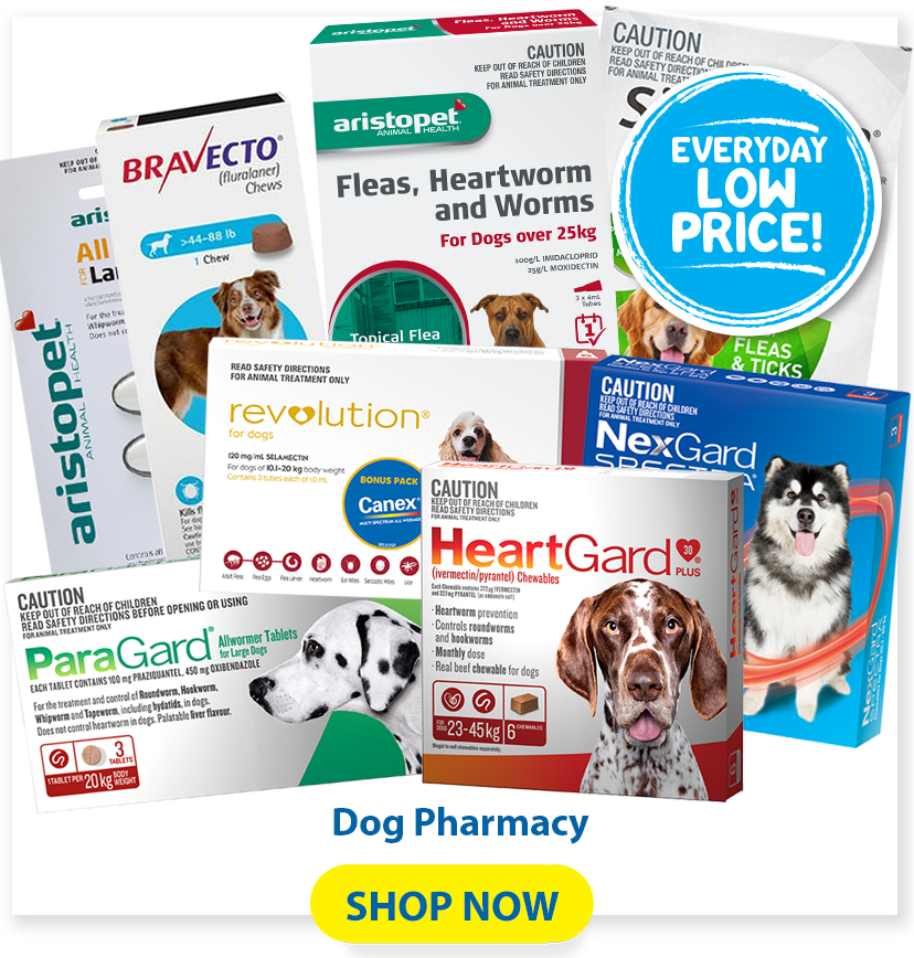 PetO | Australia's Largest Dog & Cat Store | Pet Store