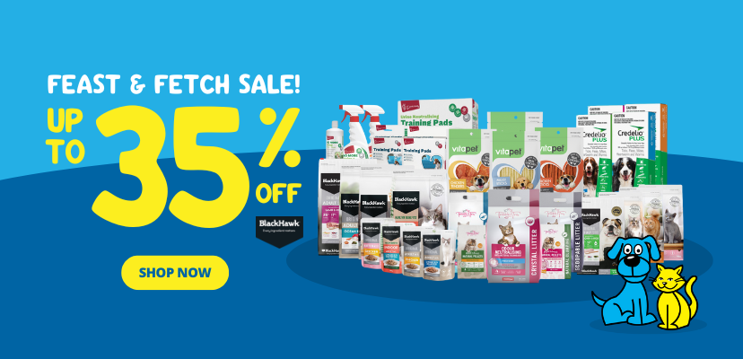 PetO | Australia's Largest Dog & Cat Store | Pet Store