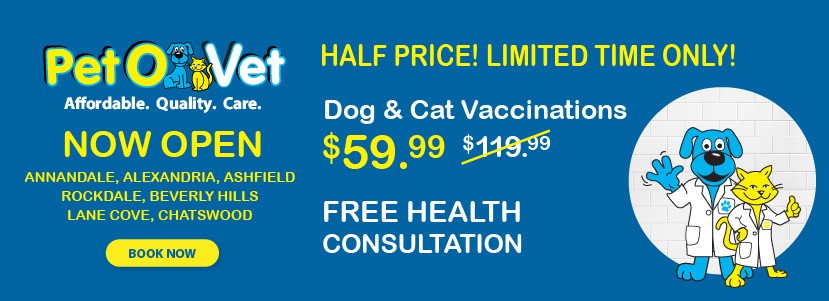 PetO | Australia's Largest Dog & Cat Store | Pet Store