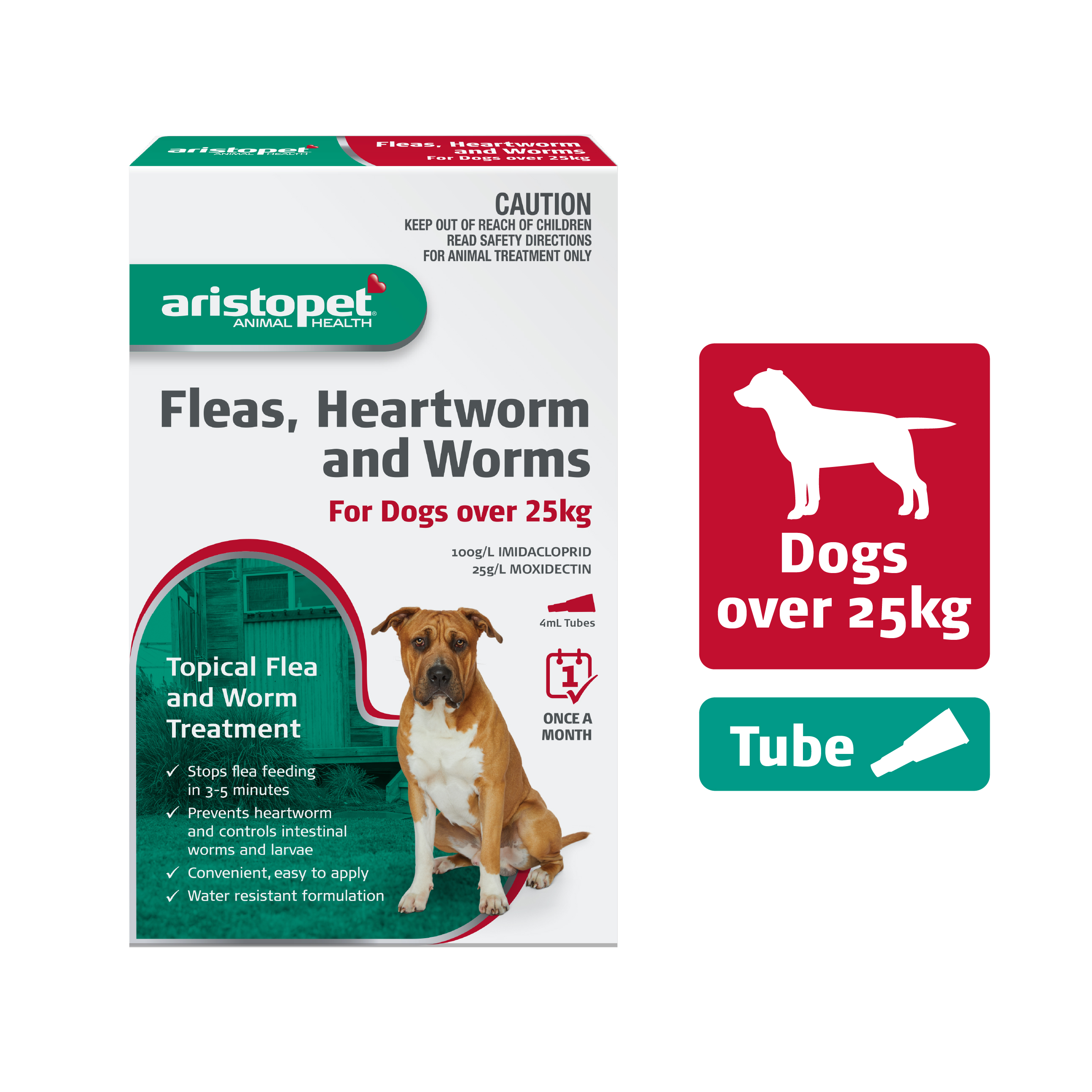 What Is The Best Medicine For Tapeworms In Dogs