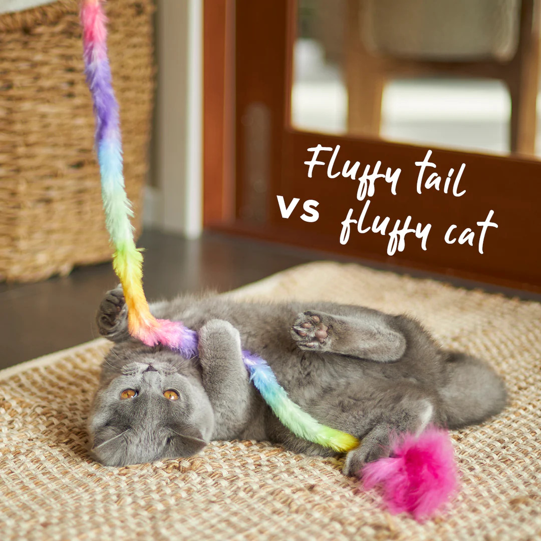 Kazoo Fluffy Rainbow Tail Cat Toy