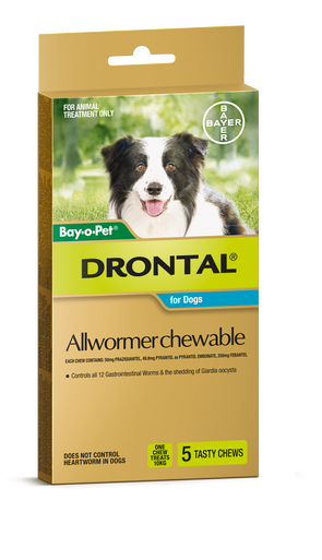 Drontal Chewable Allwormer For Medium Dogs