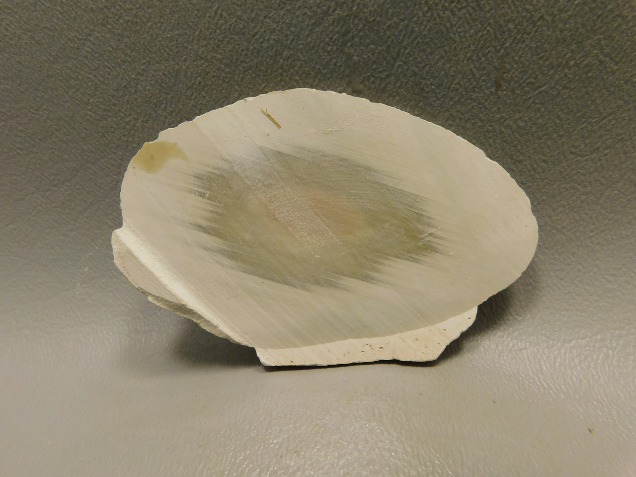 Router Plate Jasper M350 Blemish-Free Pivot Plate - No Hole Router ...