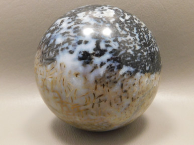 Petrified Palm Wood Root Ball 2.75 inch Sphere Fossil Indonesia #O13 ...