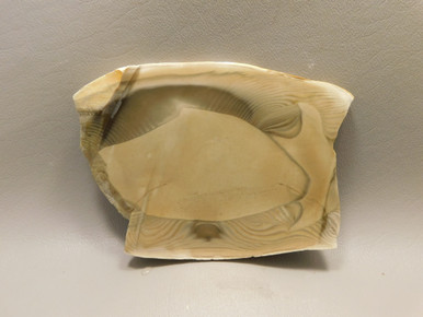 Polish Flint Lapidary Stone Slab Rough Rock Poland #O1 - OakRocks