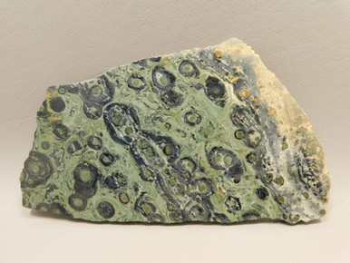 Kabamba Jasper Polished Stone Slab Kambaba or Crocodile Rock #O1 - OakRocks