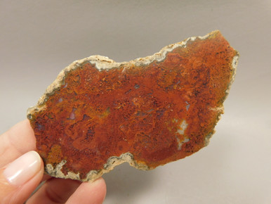 Rio Grande Agate Stone Slab Polished Rock Red Plume Texas #O10 - OakRocks