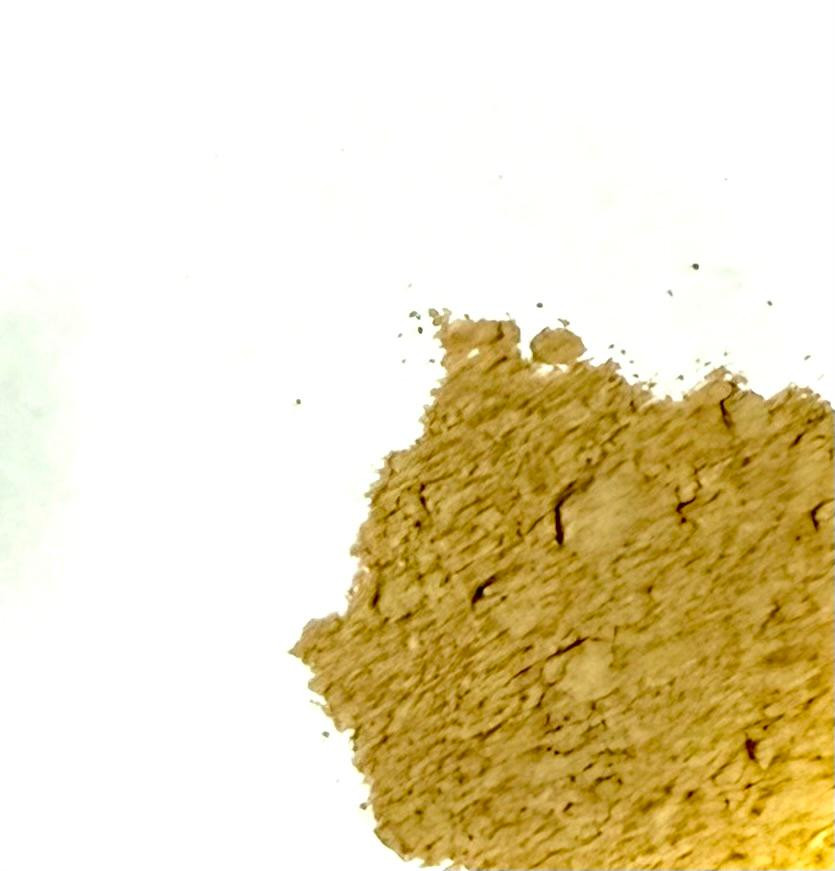 Apple Fiber Powder - Holistic Herbal Solutions, LLC