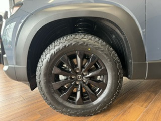 23-25 Mazda CX-50 2" Level Lift Kit