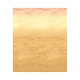 Desert Sand Plastic Backdrop | Group