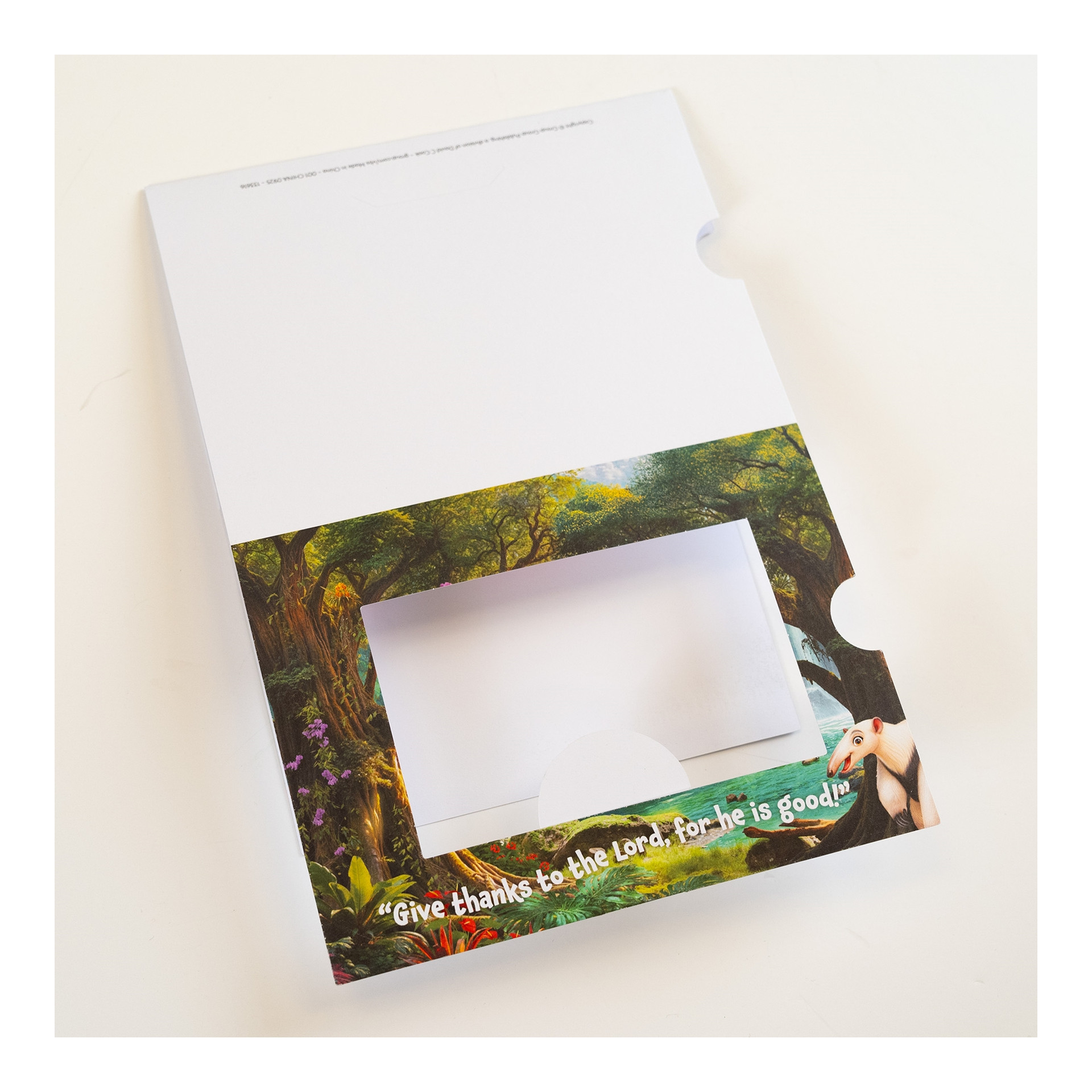 Rainforest Falls VBS Wow Windows (pkg of 6) | Group