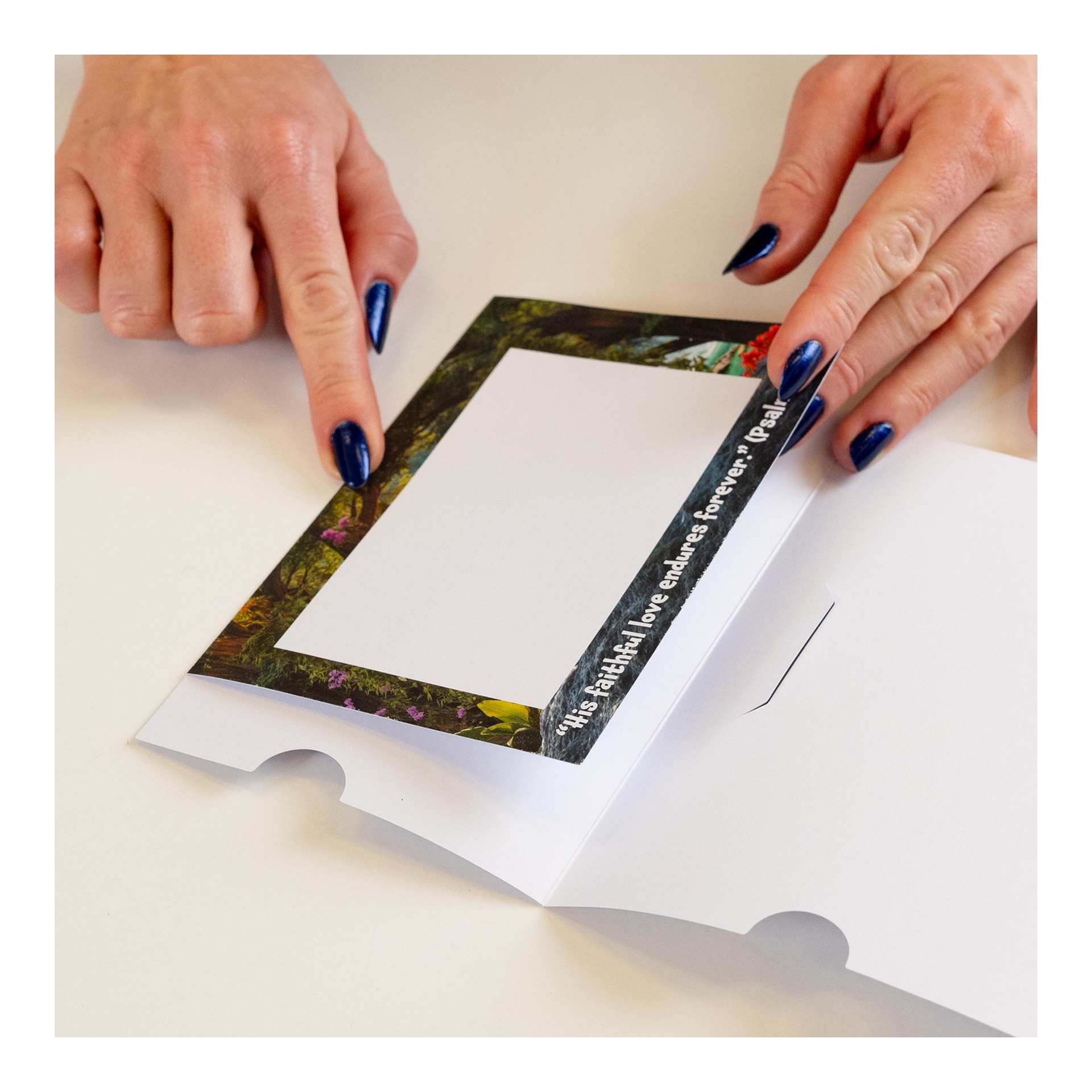 Rainforest Falls VBS Wow Windows (pkg of 6) | Group