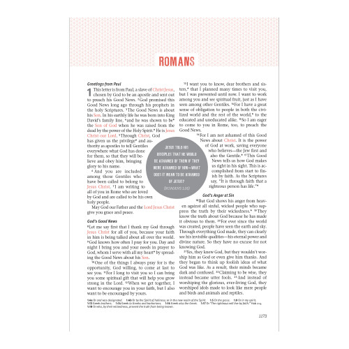 Jesus-Centered Bible NLT, Dark Brown | Group