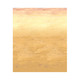 Desert Sand Plastic Backdrop | Group