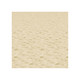 Desert Sand Plastic Backdrop | Group