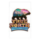 True North VBS Giant Decorating Poster Pack (set of 6) (3 ft x 5 ft ...