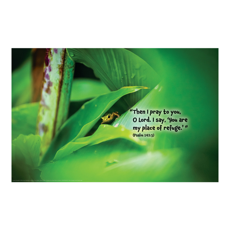 Rainforest Falls VBS Bible Verse Posters (set of 5) (22" x 34") | Group