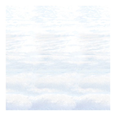 True North VBS Snowscape Plastic Backdrop | Group