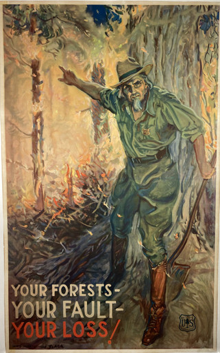 Your Forests Your Fault Your Loss