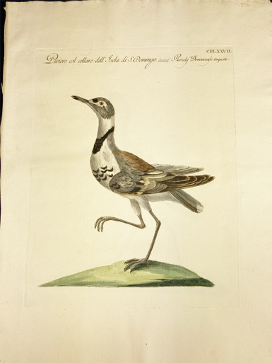 Plover CDLXXVII - Timmons Vintage Posters