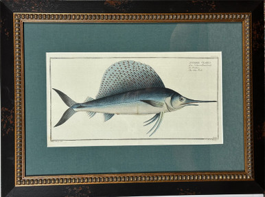 Ola Fish (Sail Fish) - Timmons Vintage Posters
