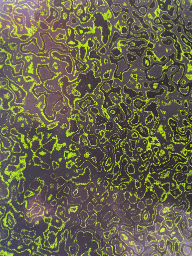 Toxic Green CamoCarbon