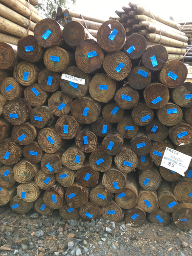 090 - 114 Rad Sed H4 Post P2 1.8M - Omokoroa ITM