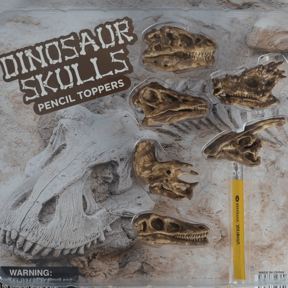 Bones of Brontosaurus Pencil Toppers 2" Capsules | Gumballs.com