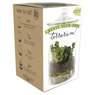 Terrarium Kit Create Your Own - Urban Garden Center