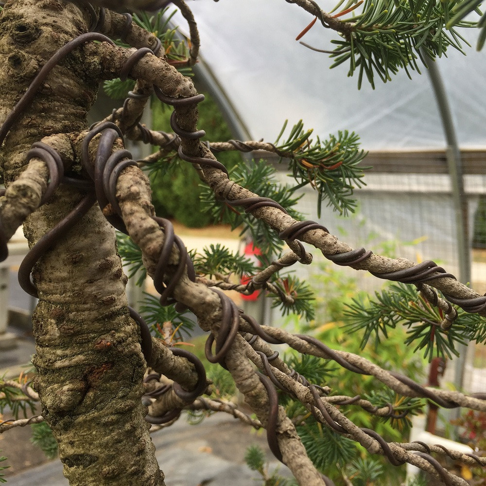 7 Piece Aluminum Bonsai Wire Kit at NEBGw.com