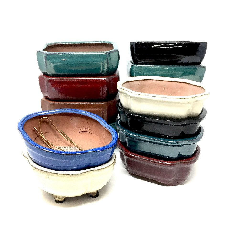 Small Bonsai Pots: 6 Piece Selection (4