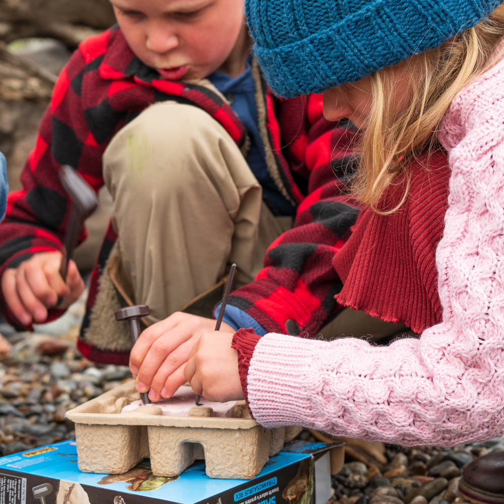 Paleontologist's Backpack Kit | Fossils, guides, paleontology tools & more