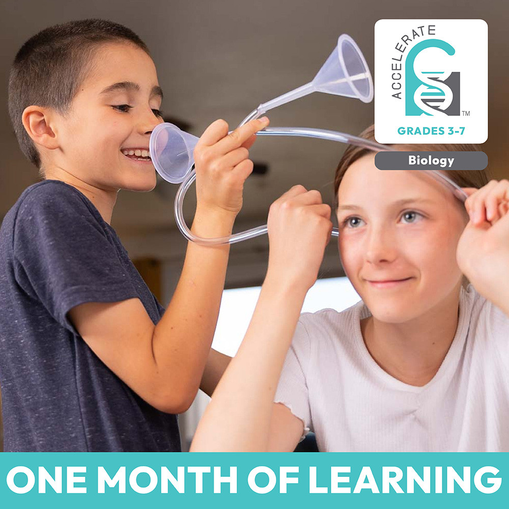 Making Sense of Senses Curriculum Kit | Five Senses Curriculum Kit