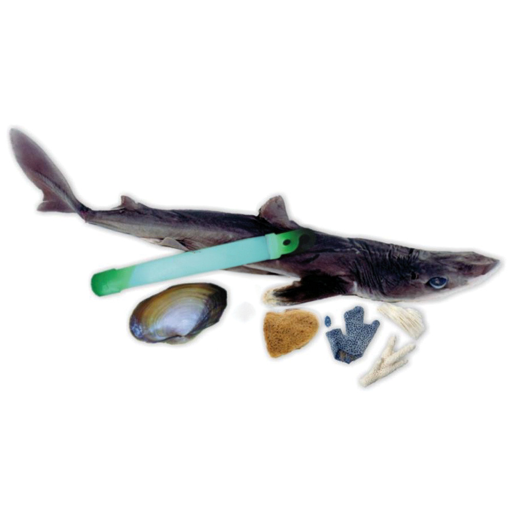 Apologia Marine Biology Dissection Lab Kit