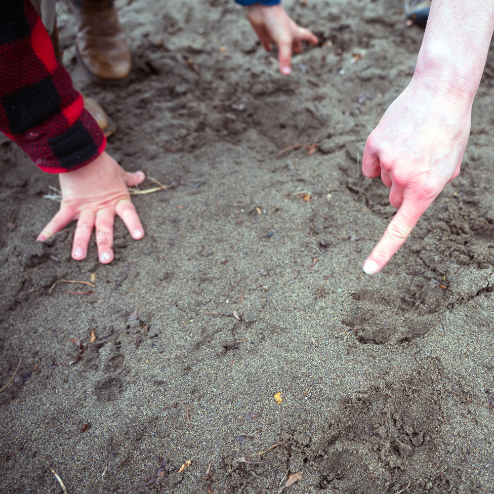 Wildlife Biologist's Backpack Kit