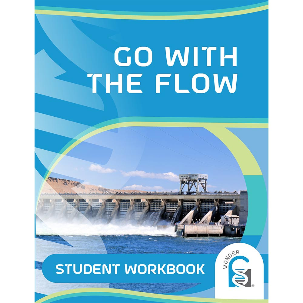 Go With the Flow Student Workbook