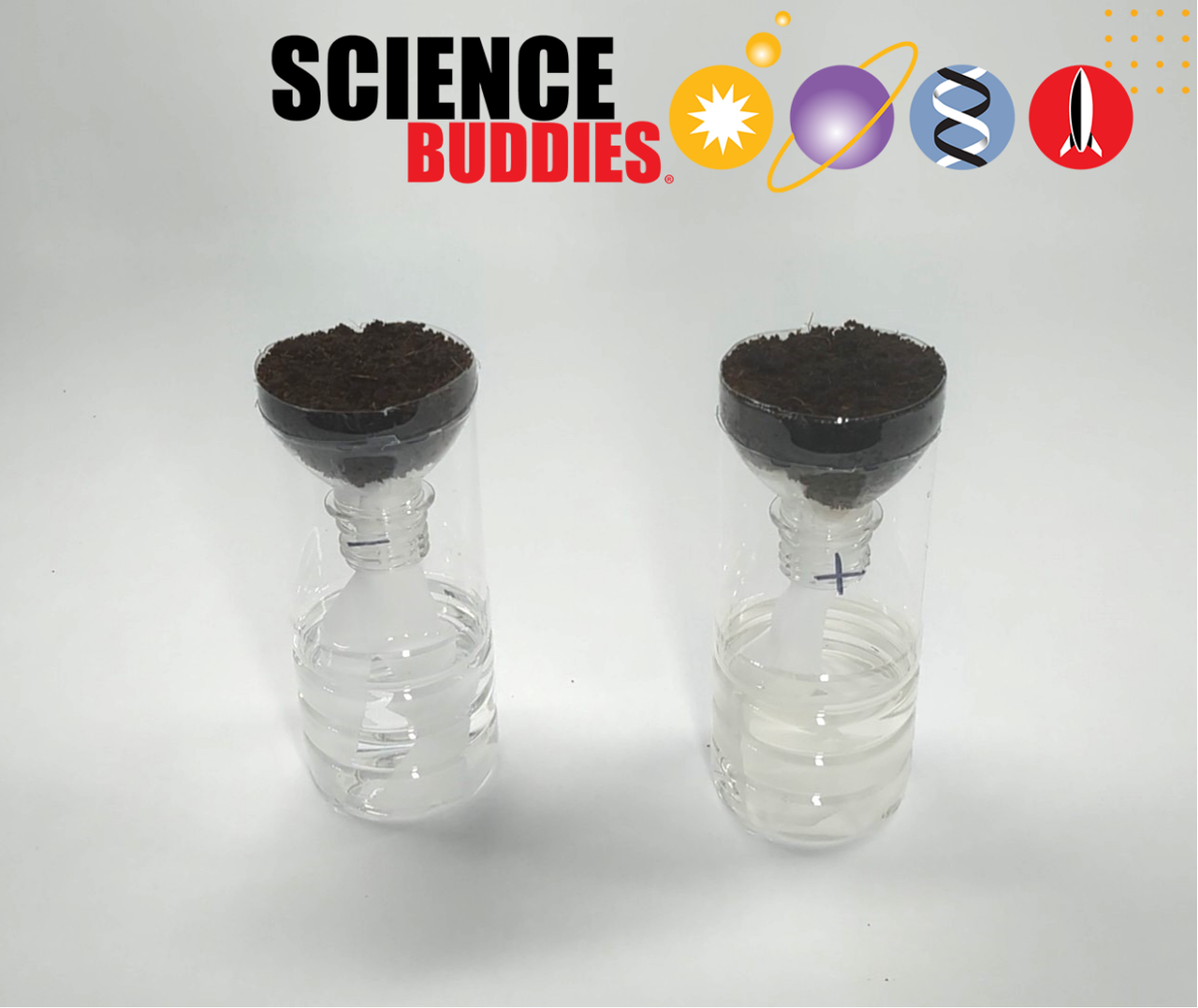 Hydroponics Kit - Home Science Tools