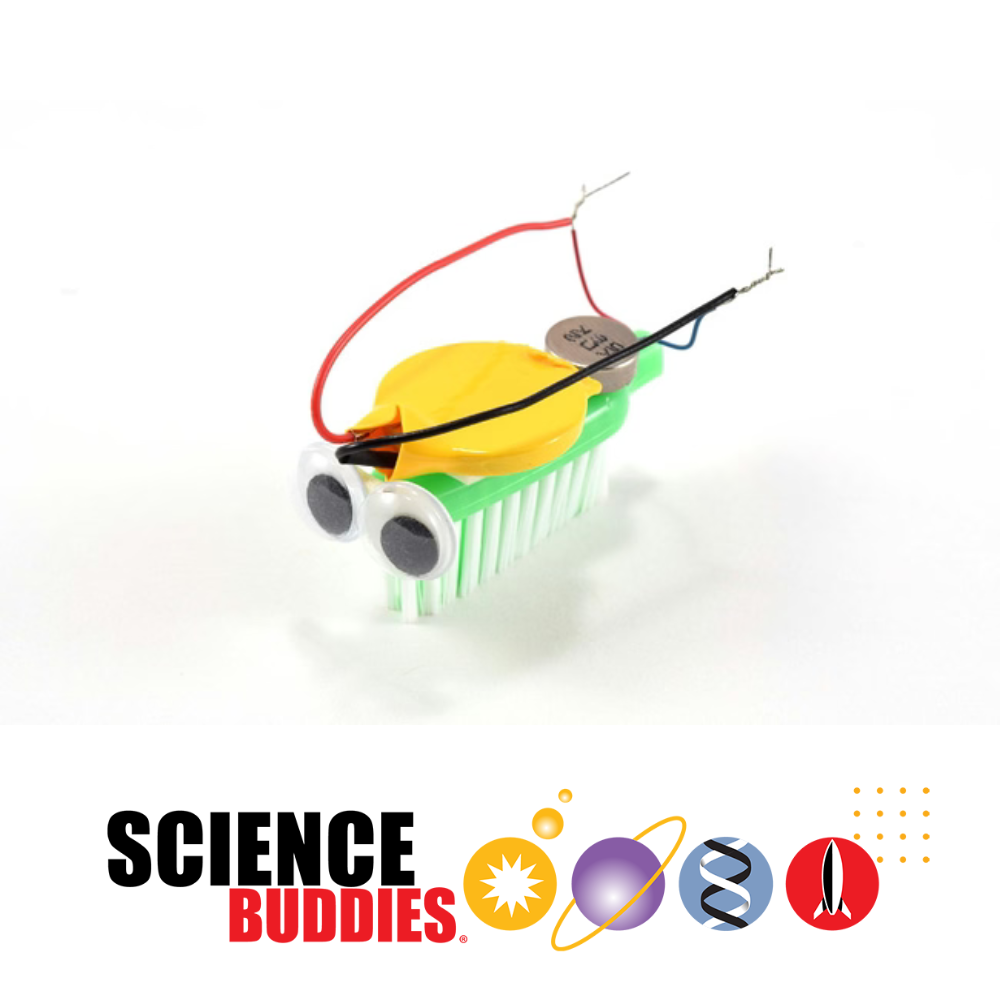 Bristlebot, 20-Pack - Home Science Tools