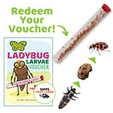 Ladybug Kit | Ladybug Land: Habitat & Growing Kit | HST