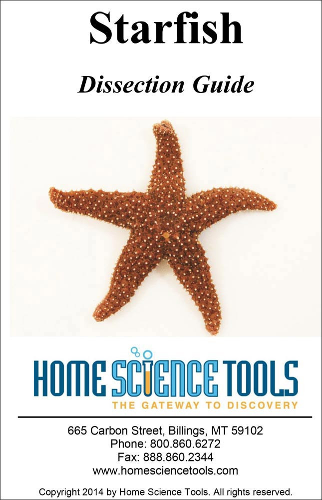 Starfish Dissection Guide
