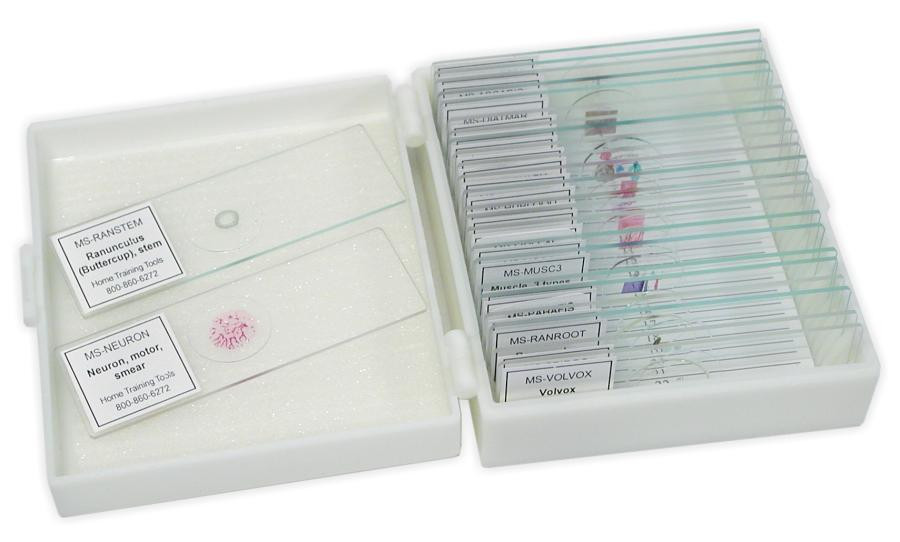 Biology Slide Set - 25 Prepared Microscope Slides for Biology | HST