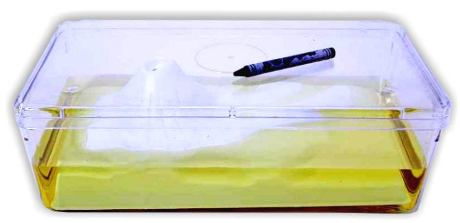 Contour Model Kit | Home Science Tools